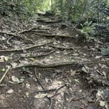 Magens Bay Beach Trail, Saint Thomas, US Virgin Islands - 349 Reviews ...