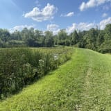 Plateau Trail, Ohio - 3,517 Reviews, Map | AllTrails