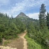 Dewey Lake Trail, Washington - 445 Reviews, Map | AllTrails