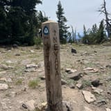 Brockway Summit to Mount Baldy Loop, California - 183 Reviews, Map ...