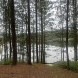 Hoist Lakes Foot Travel Area, Michigan - 121 Reviews, Map | AllTrails