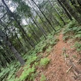 Hoist Lakes Foot Travel Area, Michigan - 121 Reviews, Map | AllTrails