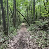 Hoist Lakes Foot Travel Area, Michigan - 121 Reviews, Map | AllTrails