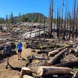 Lake Margaret Trail, California - 1,082 Reviews, Map | AllTrails