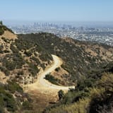 Runyon Canyon Trail, California - 8,268 Reviews, Map | AllTrails