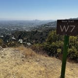 Runyon Canyon Trail, California - 8,268 Reviews, Map | AllTrails