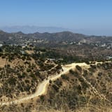 Runyon Canyon Trail, California - 8,268 Reviews, Map | AllTrails