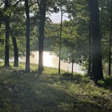 White Bison Loop, Missouri - 2,536 Reviews, Map | AllTrails