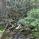 Upper Priest Lake Navigation Trail, Idaho - 251 Reviews, Map | AllTrails