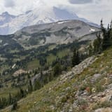 Burroughs Mountain Loop Trail, Washington - 2,388 Reviews, Map | AllTrails