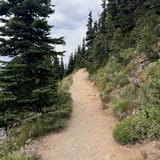 Burroughs Mountain Loop Trail, Washington - 2,388 Reviews, Map | AllTrails