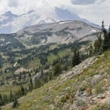 Burroughs Mountain Loop Trail, Washington - 2,388 Reviews, Map | AllTrails