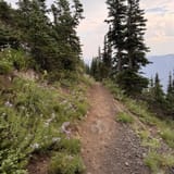 Burroughs Mountain Loop Trail, Washington - 2,388 Reviews, Map | AllTrails