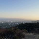 Runyon Canyon Trail, California - 8,268 Reviews, Map | AllTrails