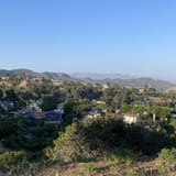 Runyon Canyon Trail, California - 8,268 Reviews, Map | AllTrails