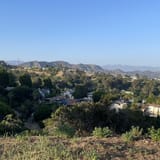 Runyon Canyon Trail, California - 8,268 Reviews, Map | AllTrails