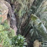 Witches Falls Circuit, Queensland, Australia - 713 Reviews, Map | AllTrails