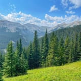 Moose Mountain Trail, Alberta, Canada - 1,535 Reviews, Map | AllTrails