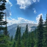 Moose Mountain Trail, Alberta, Canada - 1,535 Reviews, Map | AllTrails