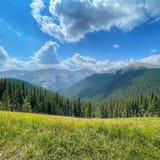 Moose Mountain Trail, Alberta, Canada - 1,535 Reviews, Map | AllTrails