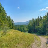 Moose Mountain Trail, Alberta, Canada - 1,535 Reviews, Map | AllTrails
