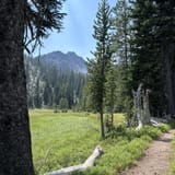 Hoffer Lakes Trail, Oregon - 89 Reviews, Map | AllTrails