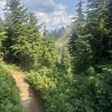 High Pass Trail, Washington - 147 Reviews, Map | AllTrails