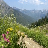 High Pass Trail, Washington - 147 Reviews, Map | AllTrails