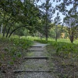 Adams Lake Loop Trail, Ohio - 48 Reviews, Map | AllTrails