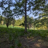 Adams Lake Loop Trail, Ohio - 48 Reviews, Map | AllTrails