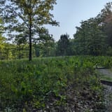 Adams Lake Loop Trail, Ohio - 48 Reviews, Map | AllTrails
