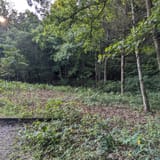 Adams Lake Loop Trail, Ohio - 48 Reviews, Map | AllTrails