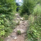 Cheddar Gorge Trail, Somerset, England - 1,257 Reviews, Map | AllTrails
