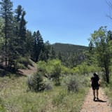 Chamisa Trail, New Mexico - 1,574 Reviews, Map | AllTrails