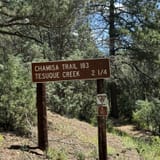 Chamisa Trail, New Mexico - 1,574 Reviews, Map | AllTrails