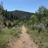 Chamisa Trail, New Mexico - 1,574 Reviews, Map | AllTrails