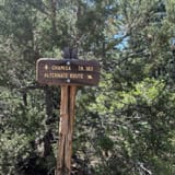 Chamisa Trail, New Mexico - 1,574 Reviews, Map | AllTrails
