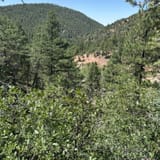 Chamisa Trail, New Mexico - 1,574 Reviews, Map | AllTrails