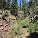 Chamisa Trail, New Mexico - 1,574 Reviews, Map | AllTrails