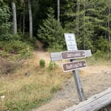 Dickerson Falls, Washington - 2,711 Reviews, Map | AllTrails