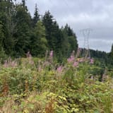 Dickerson Falls, Washington - 2,711 Reviews, Map | AllTrails