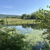 Leaser Lake Trail, Pennsylvania - 666 Reviews, Map | AllTrails