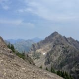 Mount Ellinor Trail, Washington - 2,909 Reviews, Map | AllTrails