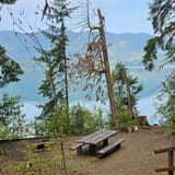 Quinault Loop, Washington - 2,029 Reviews, Map | AllTrails