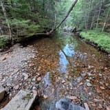 Little Harbor Brook Trail, Maine - 184 Reviews, Map | AllTrails