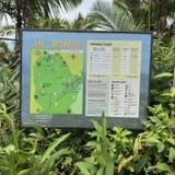 Mount Britton Tower Trail, Puerto Rico - 1,942 Reviews, Map | AllTrails