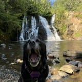 Beaver Falls, Washington - 283 Reviews, Map | AllTrails