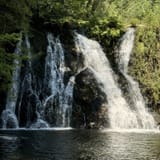 Beaver Falls, Washington - 283 Reviews, Map | AllTrails