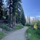 Fraser River Trail, Colorado - 543 Reviews, Map | AllTrails