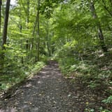 Ferncliff Trail, Pennsylvania - 1,599 Reviews, Map | AllTrails